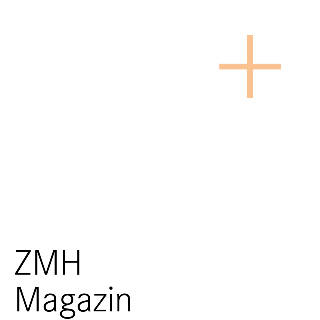 Die Gruppe | ZimmerMeisterHaus